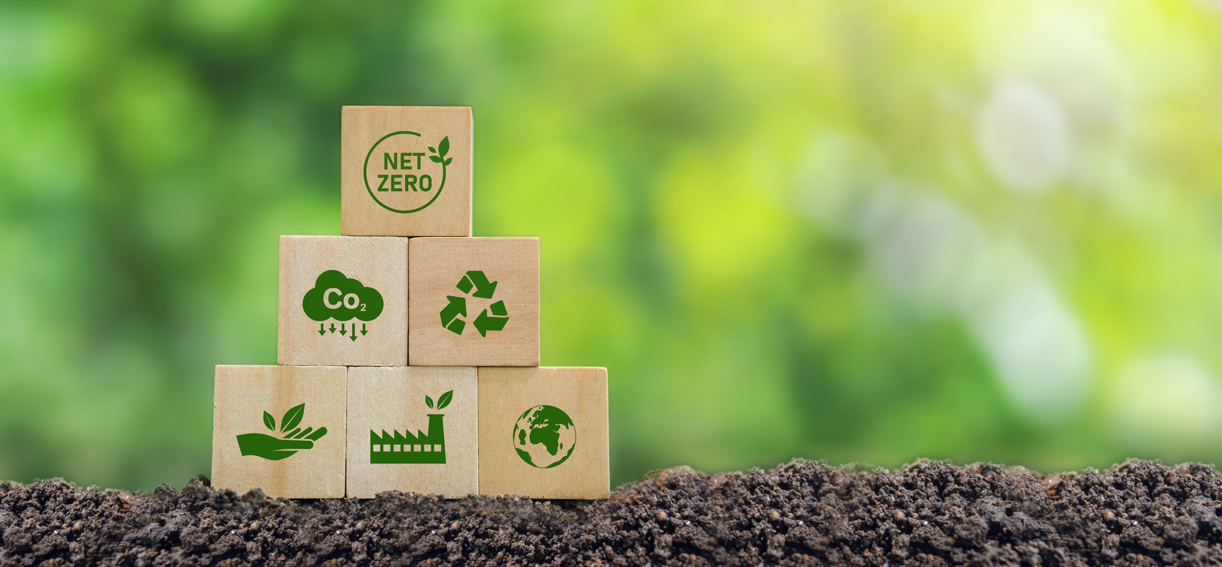 Logística verde: 7 empresas que la realizan con éxito