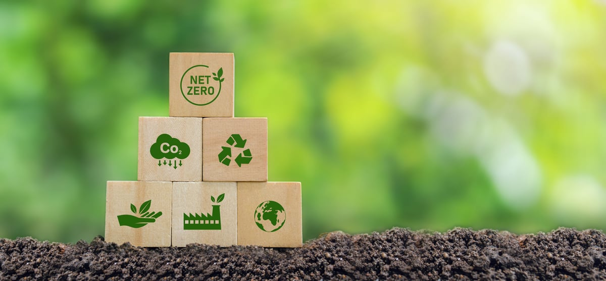 Logística verde: 7 empresas que la realizan con éxito